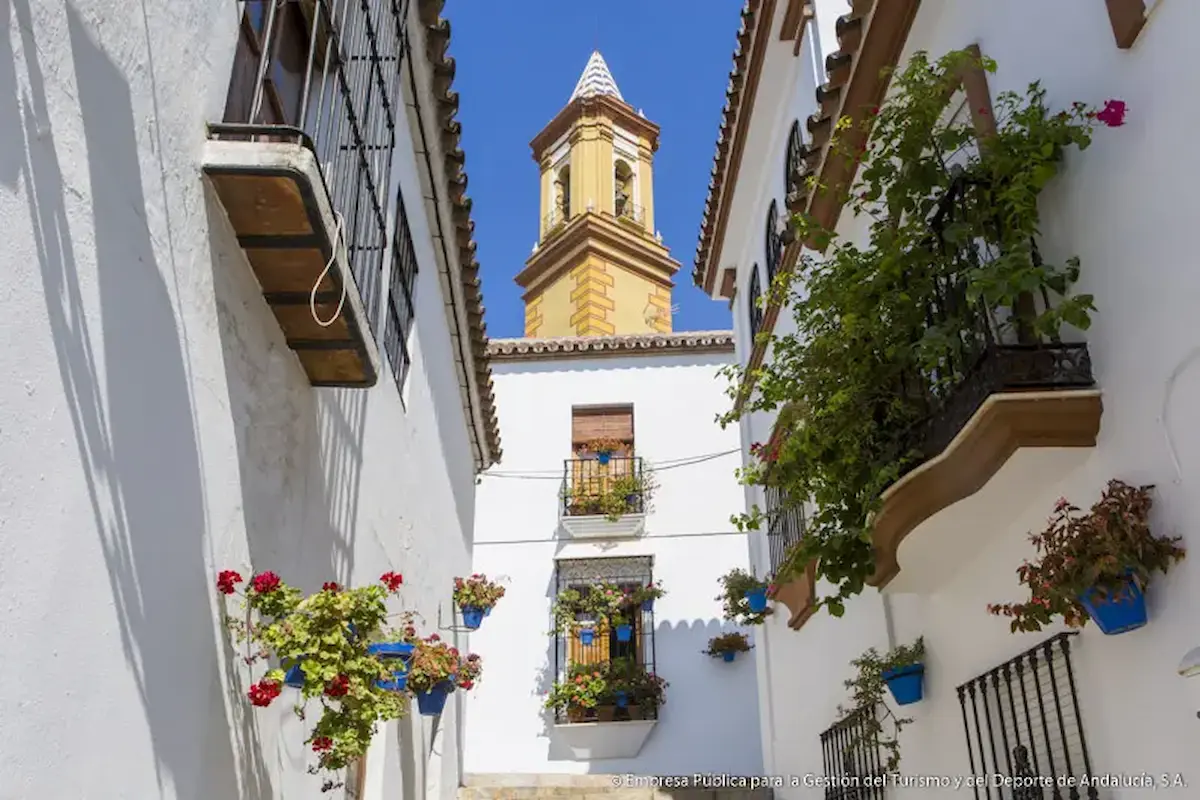 Guida completa di Estepona (Malaga) | CarGest