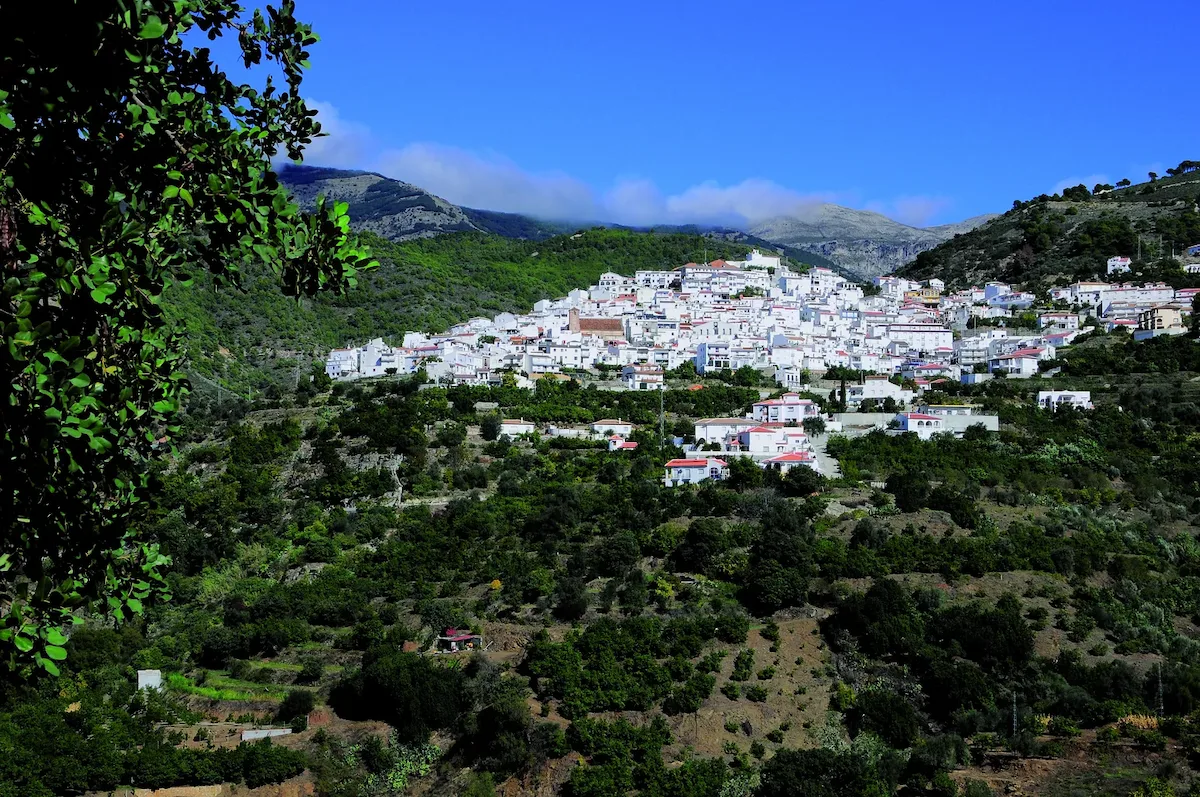 Complete Guide to Canillas de Albaida (Málaga) - CarGest